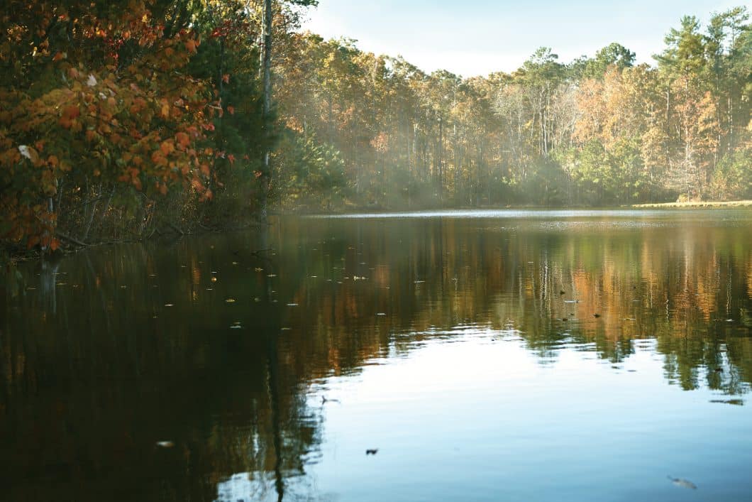 Luxury Gated Community Near Birmingham AL | Shoal Creek Properties